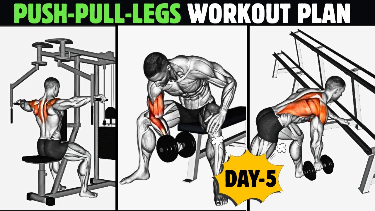 Ultimate Push Pull Legs Workout| Pull Workout| Back Biceps Workout| Day ...