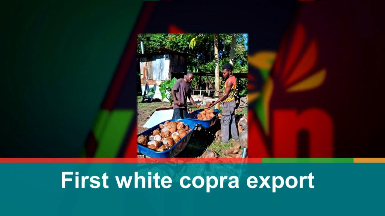 First white copra export - YouTube