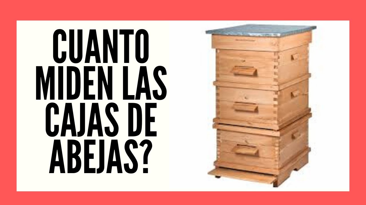 CUANTO MIDEN LAS CAJAS DE LAS ABEJAS? / BRINDANDO CON LOS FRANCESES ...