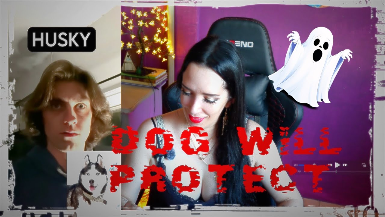 How Human React As Dog - SPOOKY SEASON EDITION - YouTube