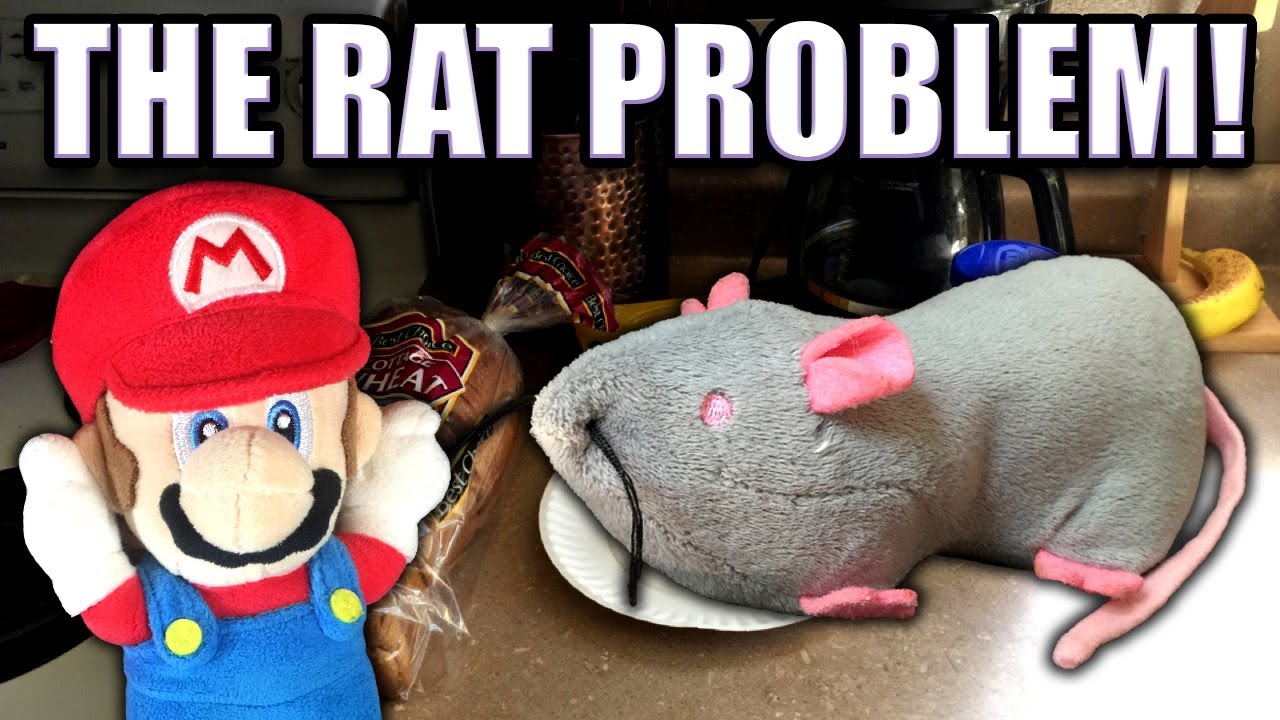The Rat Problem! - YouTube
