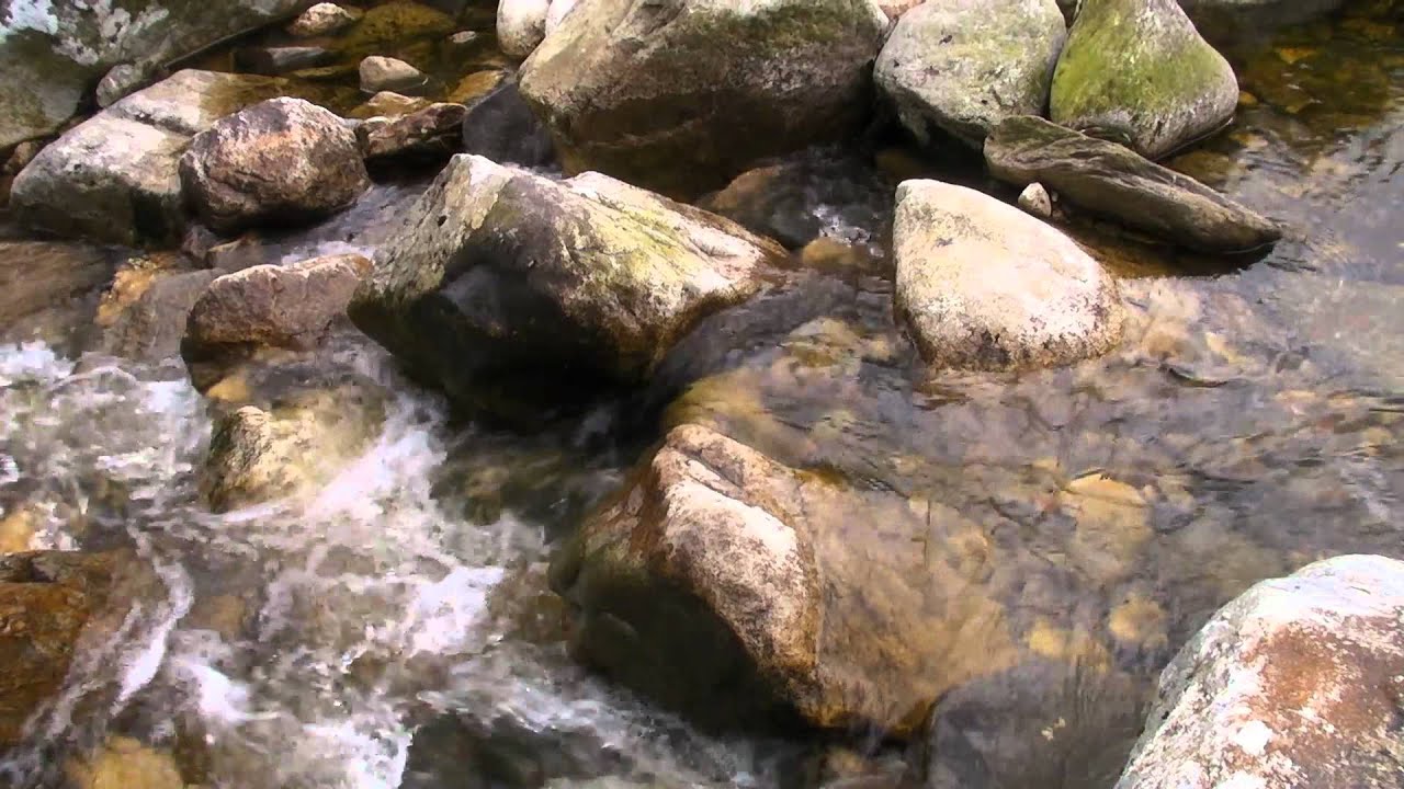 Running Water Relaxation Video - Close Up Scene Of Mountain River - YouTube