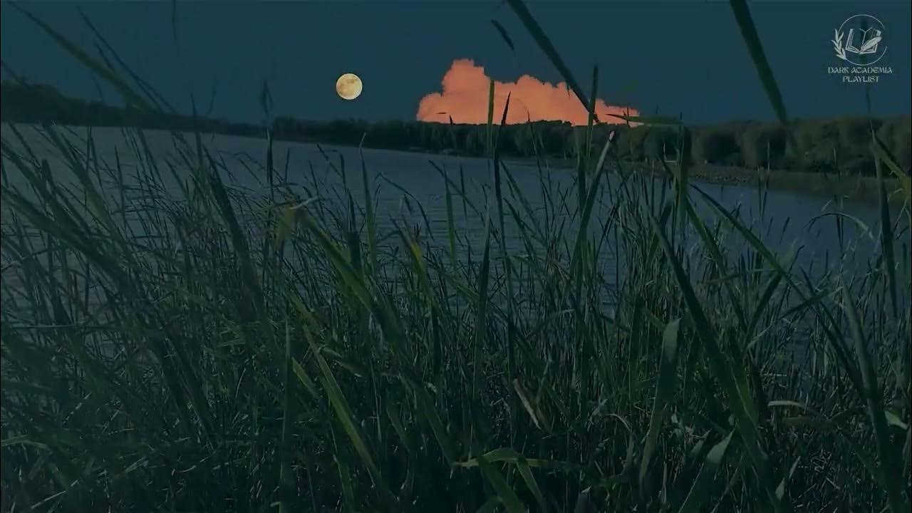 romanticizing studying playlist | immerse yourself in the gentle melody ...