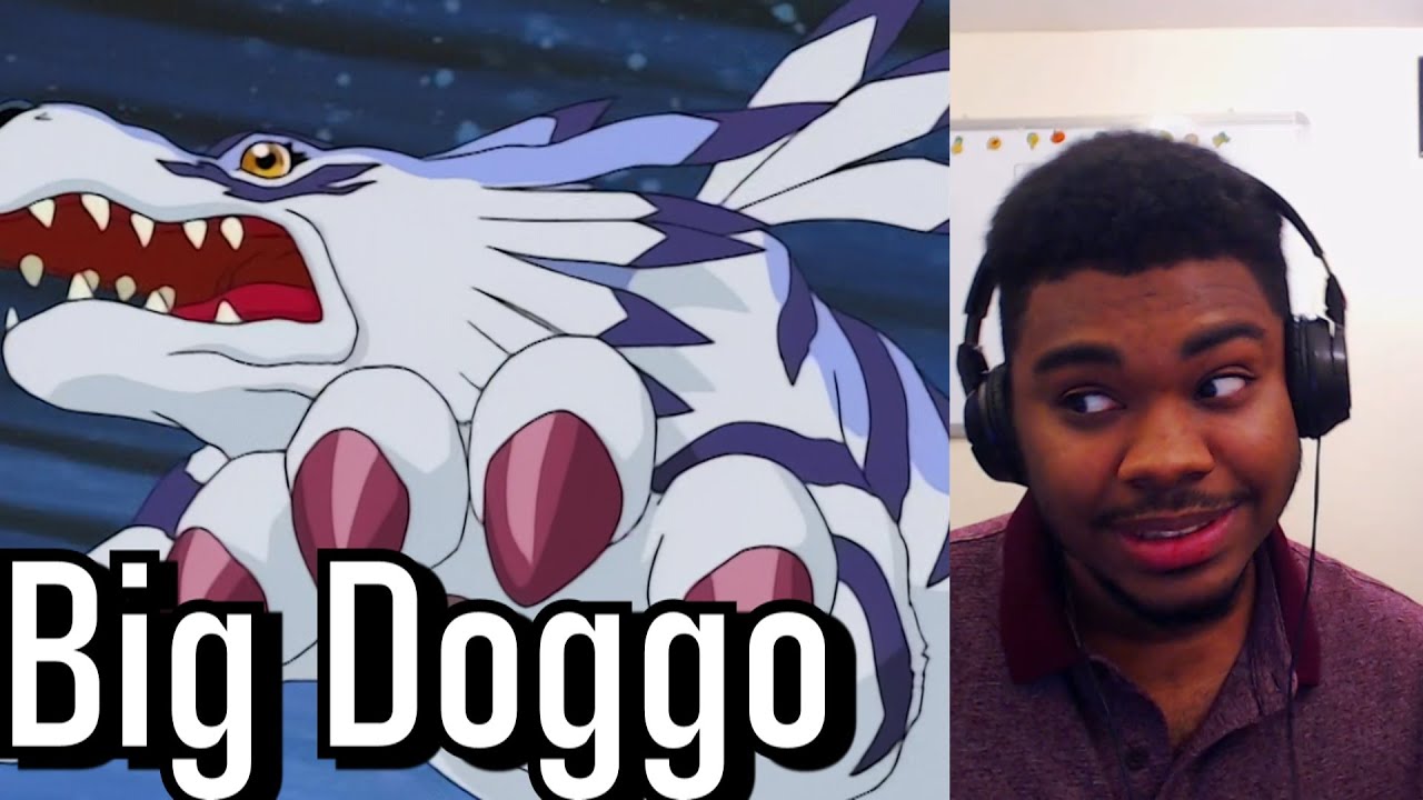 Digimon Adventure 01 Episode 3 Reaction - The Blue Wolf! Garurumon ...