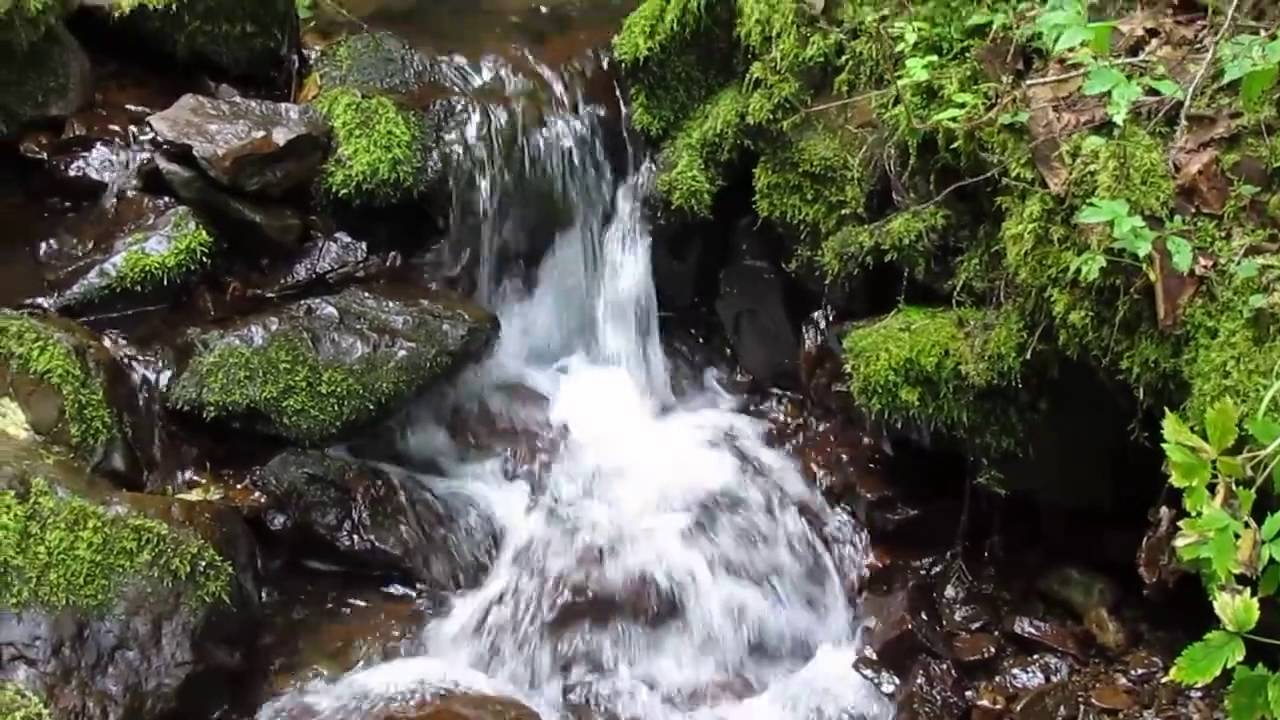 Chutes Kempt sentier pédestre - YouTube