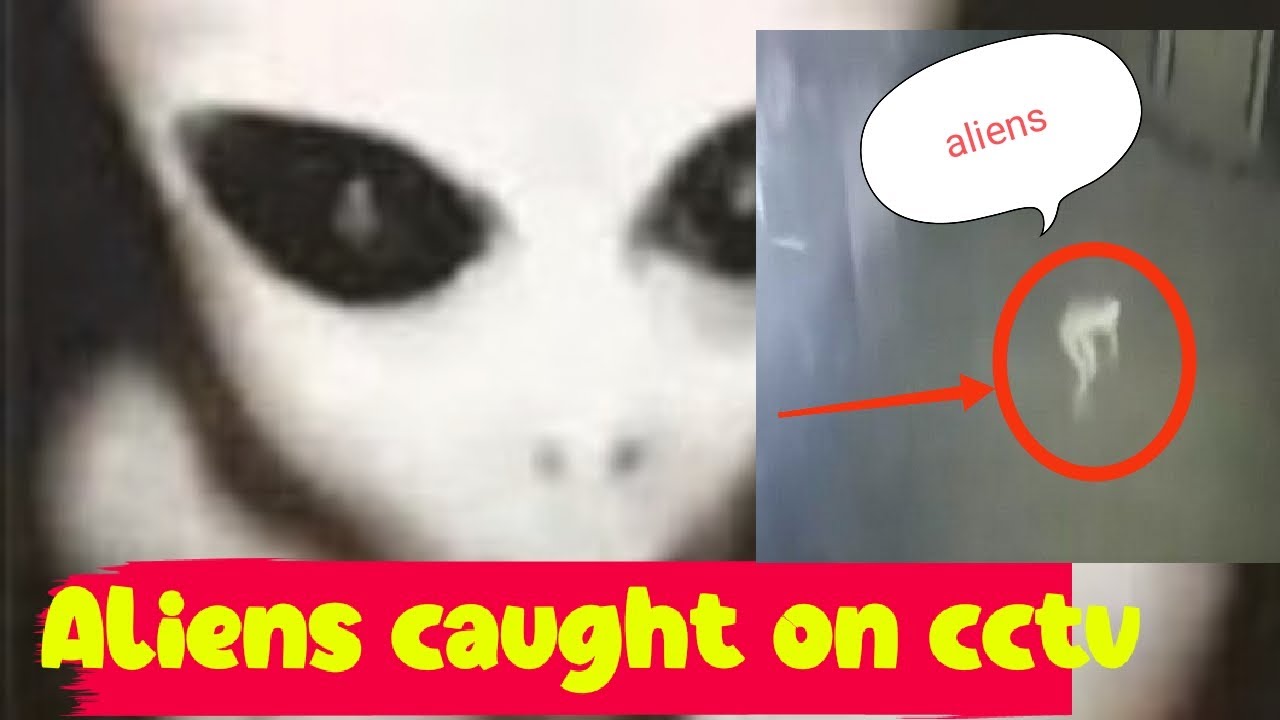 aliens in miami | aliens caught on camera | aliens caught on camera ...
