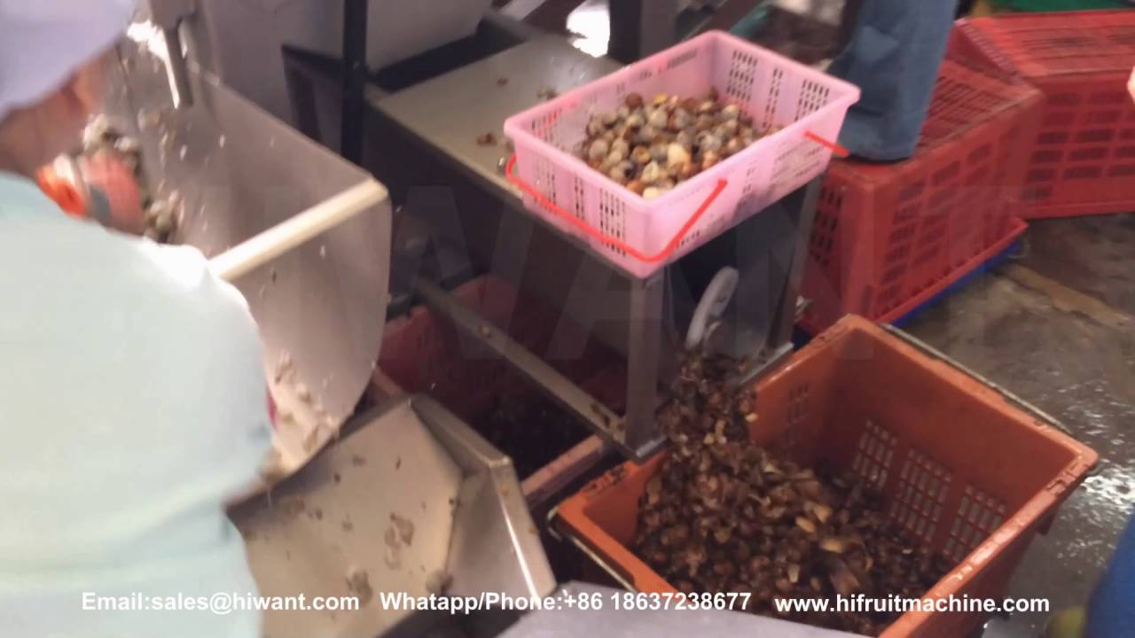 Lychee Rambutan Longan Peeling and Pit Removing Machine - YouTube