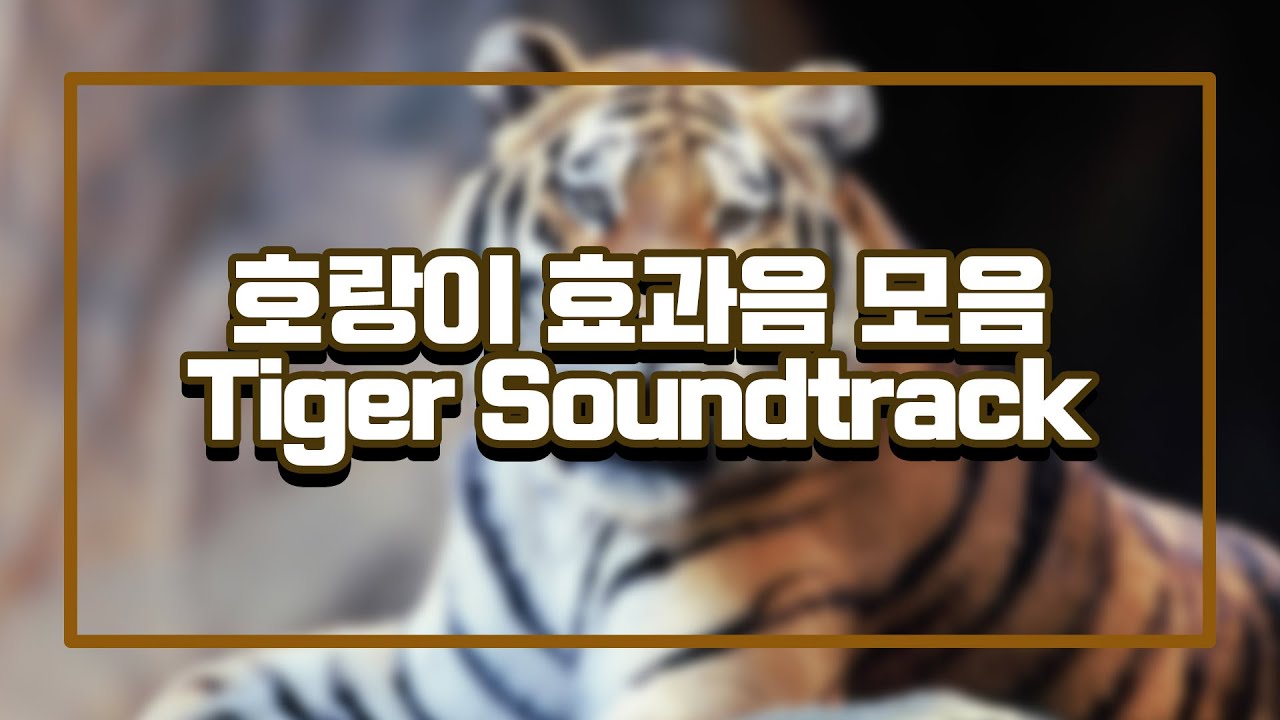 호랑이 효과음 - Tiger Soundtrack | 어흥, Roaring sound - YouTube