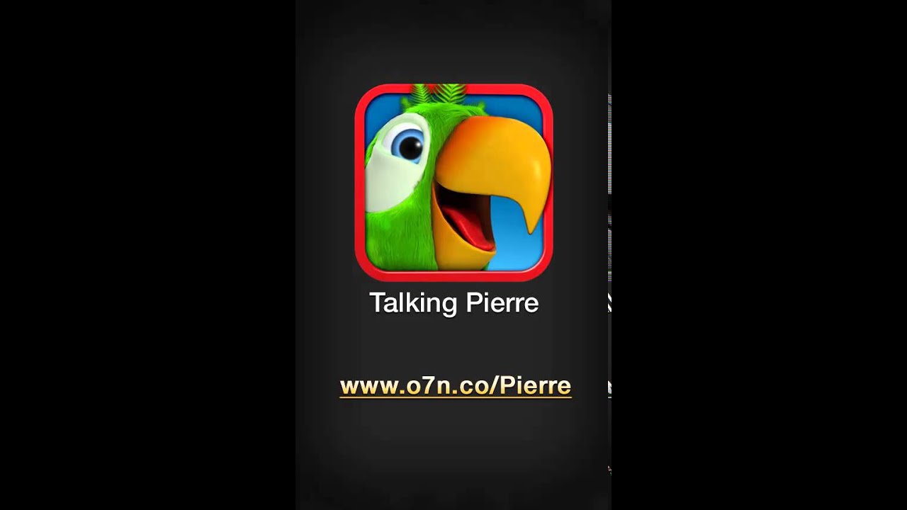 Talking Pierre the Parrot - YouTube