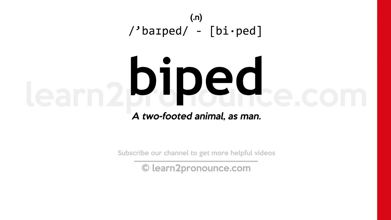 Pronunciation of Biped | Definition of Biped - YouTube