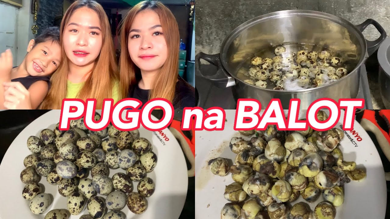 PAANO LUTUIN AT BALATAN ANG PUGOLOT (MiniVersion ng BALOT) - YouTube