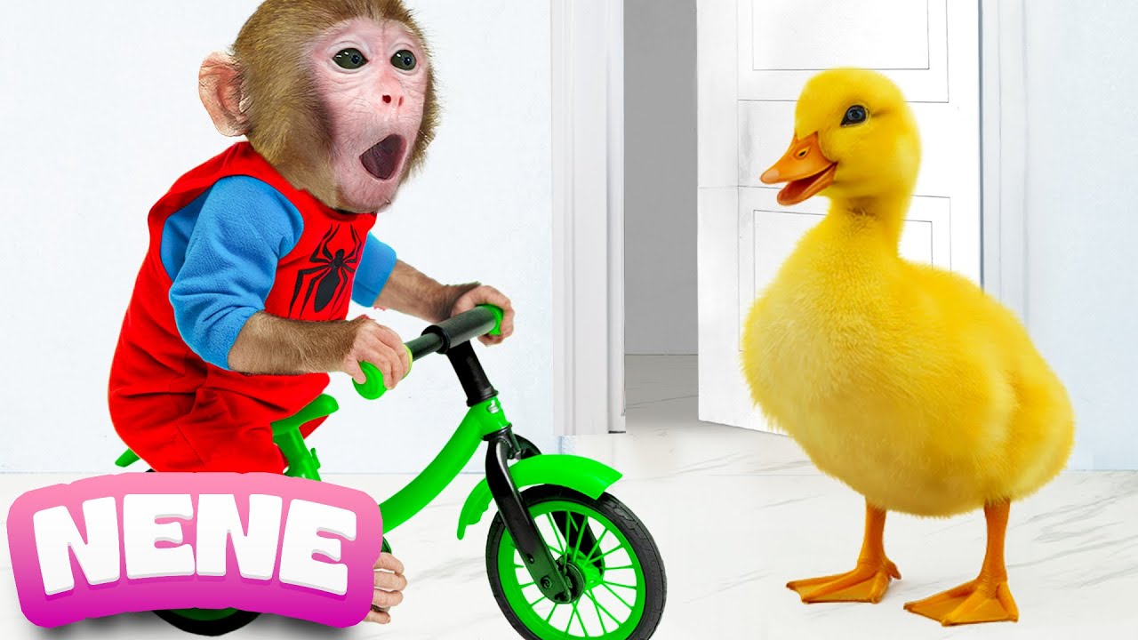 Monkey NeNe Rescues Duckling by Superhero Soda Machine and Makes ...