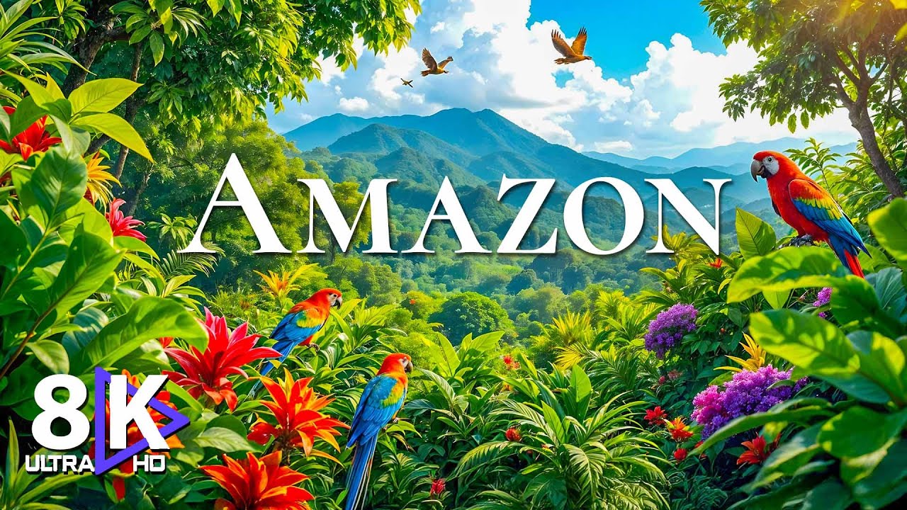 FLYING OVER AMAZON (8K UHD) - Aerial Journey Through the World's ...