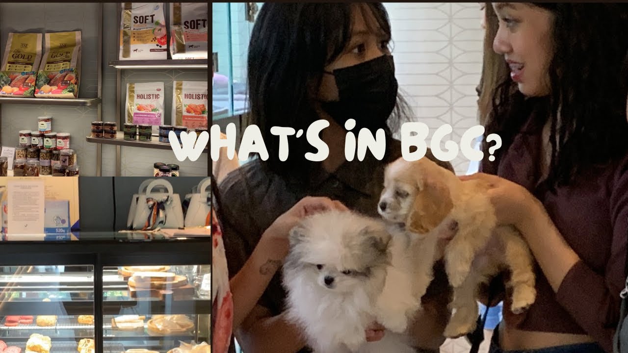 BGC | FIRST EVER Pretty Bubble Dog Gallery Tour | Fr.🇰🇷-🇵🇭w/ Microchip ...