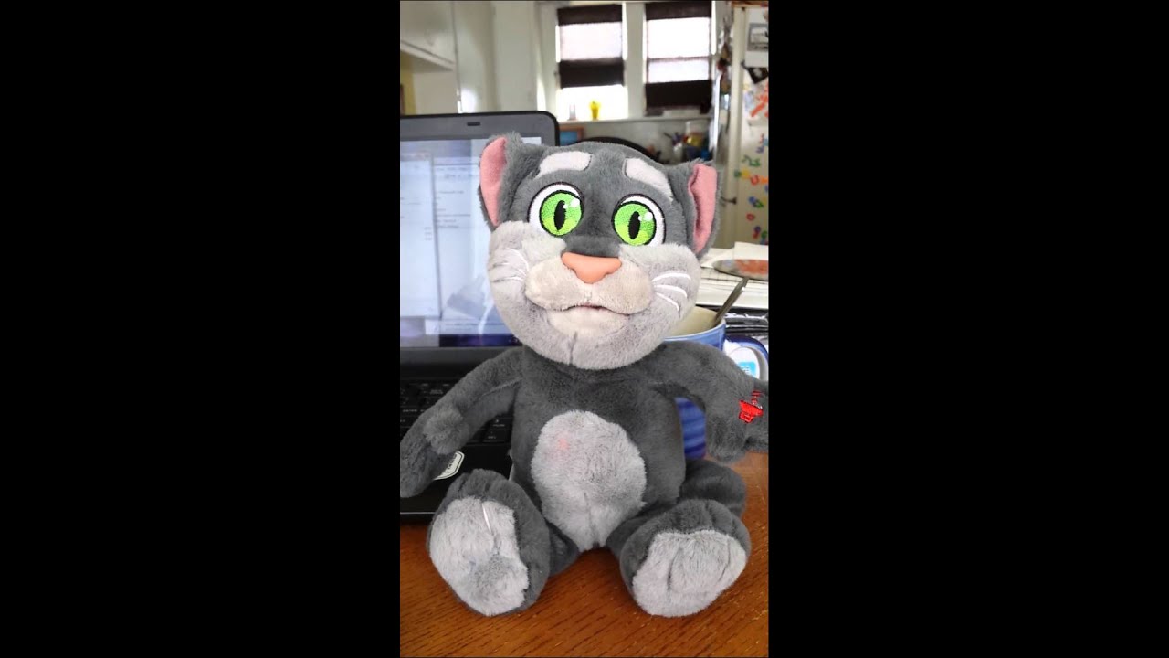 Preaching Tom Cat - YouTube