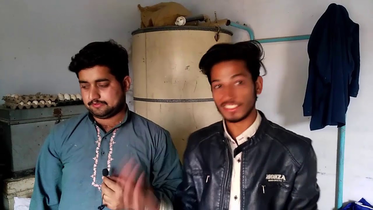 Fancy Hen Farming in Pakistan|Desi Hen Farming in Pakistan|Desi Murgi ...
