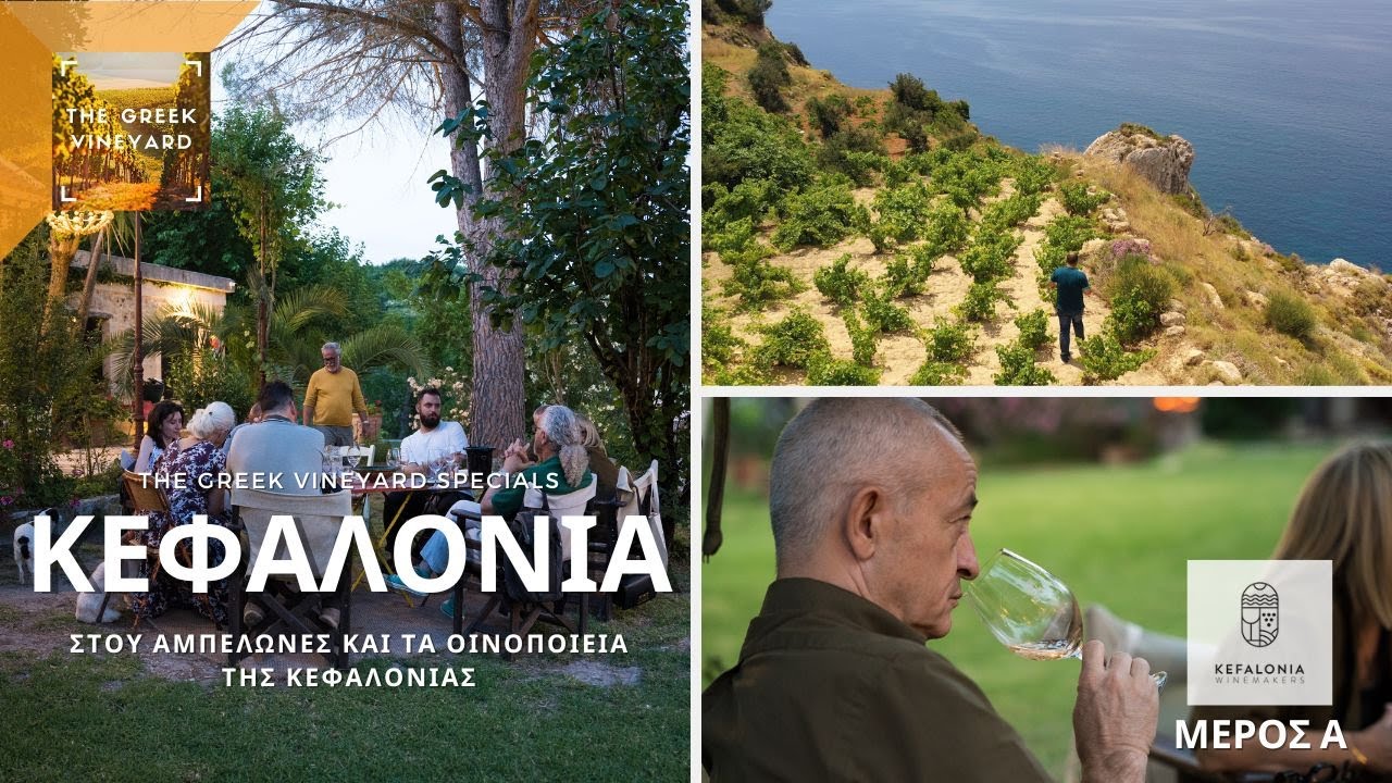 Επίσκεψη Σε Οινοποιεία & Αμπελώνες Της Κεφαλονιάς (Μέρος Α) # ...