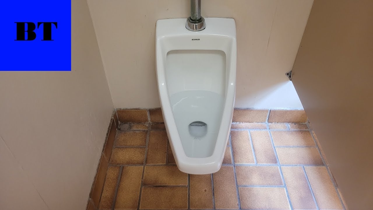Kohler Derry Urinal and Older Kingston Waterguard Toilet - 420 West 4th ...