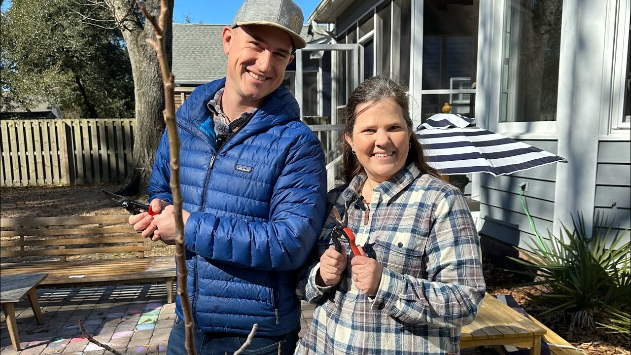 Let’s Take A Tour of Phil’s Figs Backyard! @Philsfigs - YouTube