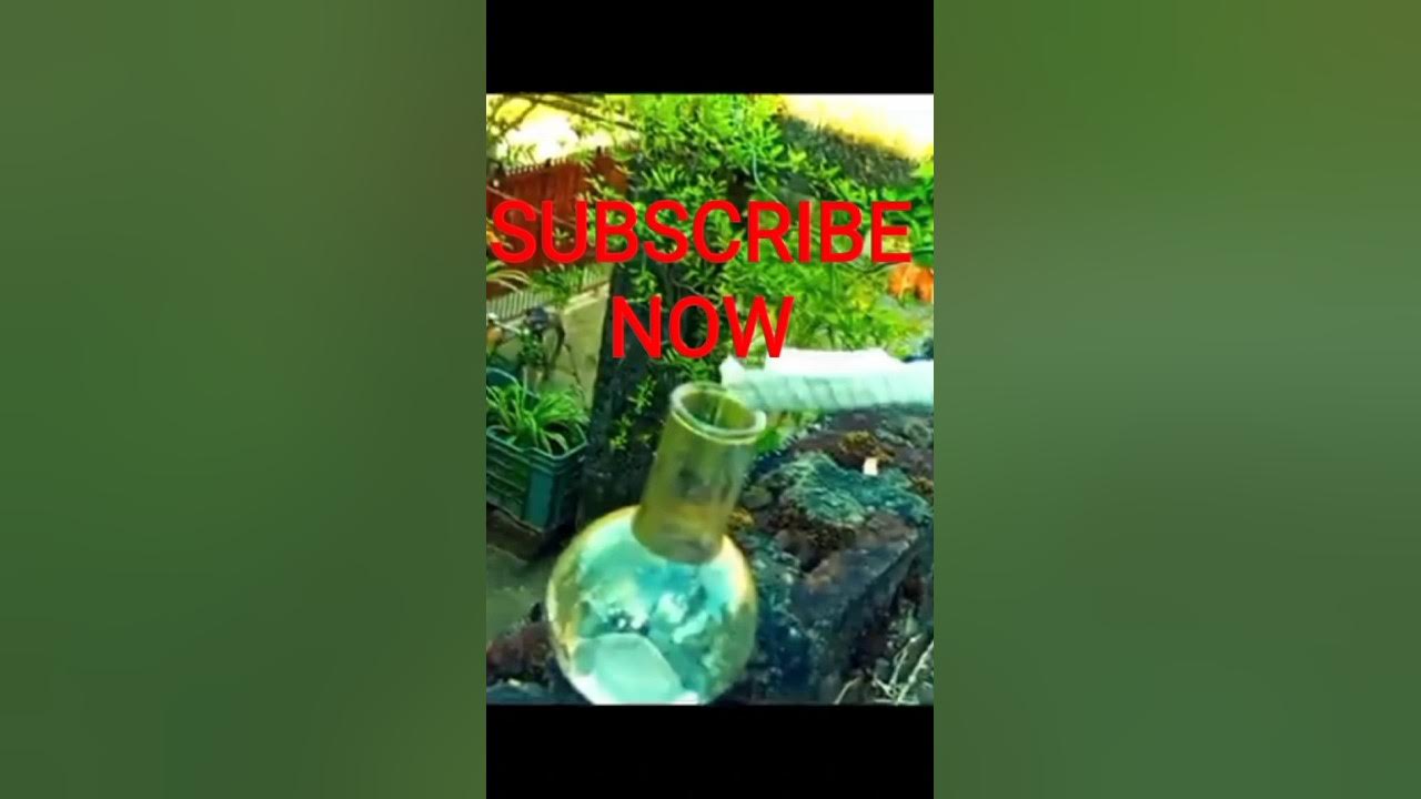 Hydrogen Peroxide And Potassium Permanganate Reaction Science Viral