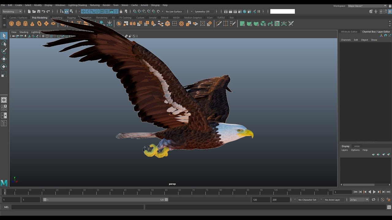 Eagle Animation - YouTube