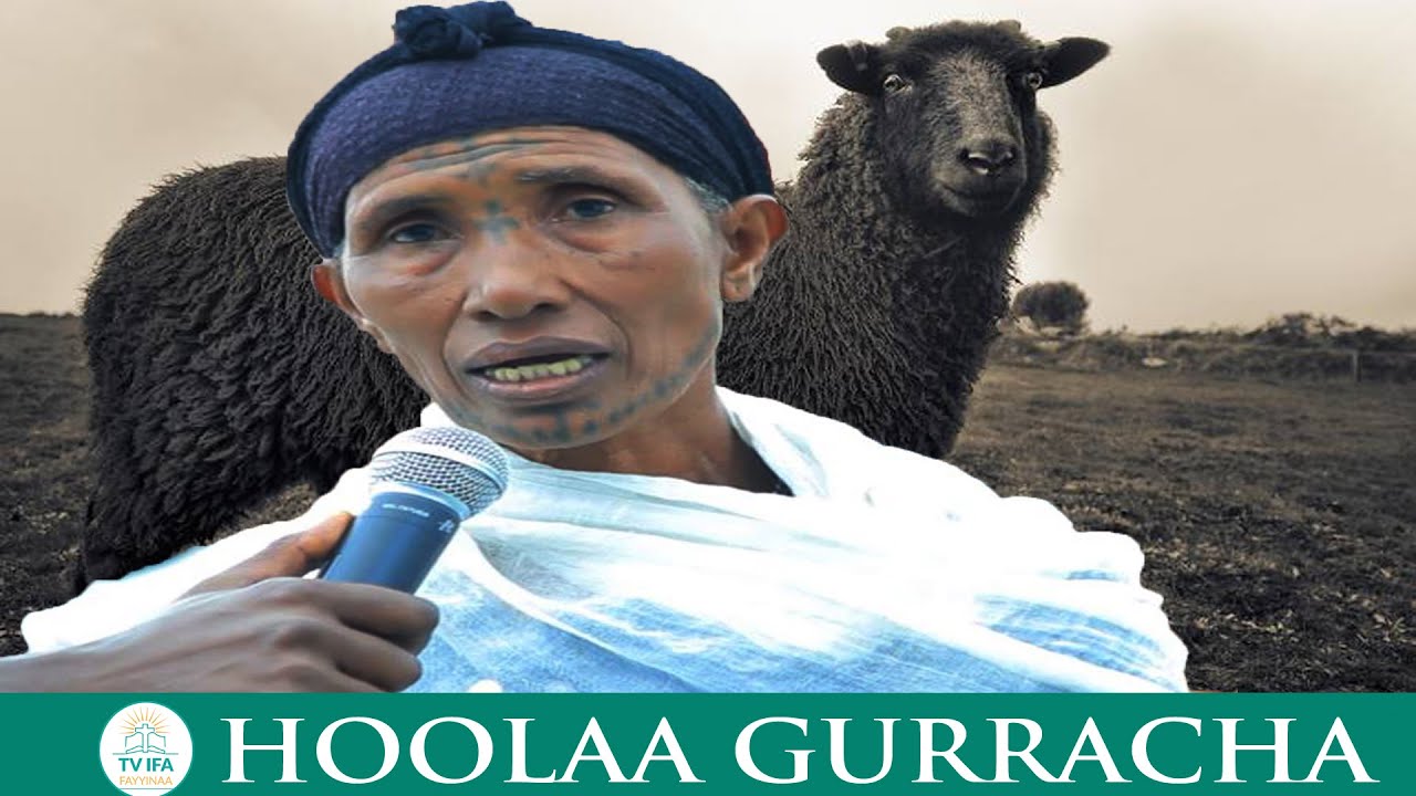 HOOLAA GURRACHA QALEEFIS ILMAAN KOO AWWALAAN TUREE.... WITH Apostle ...