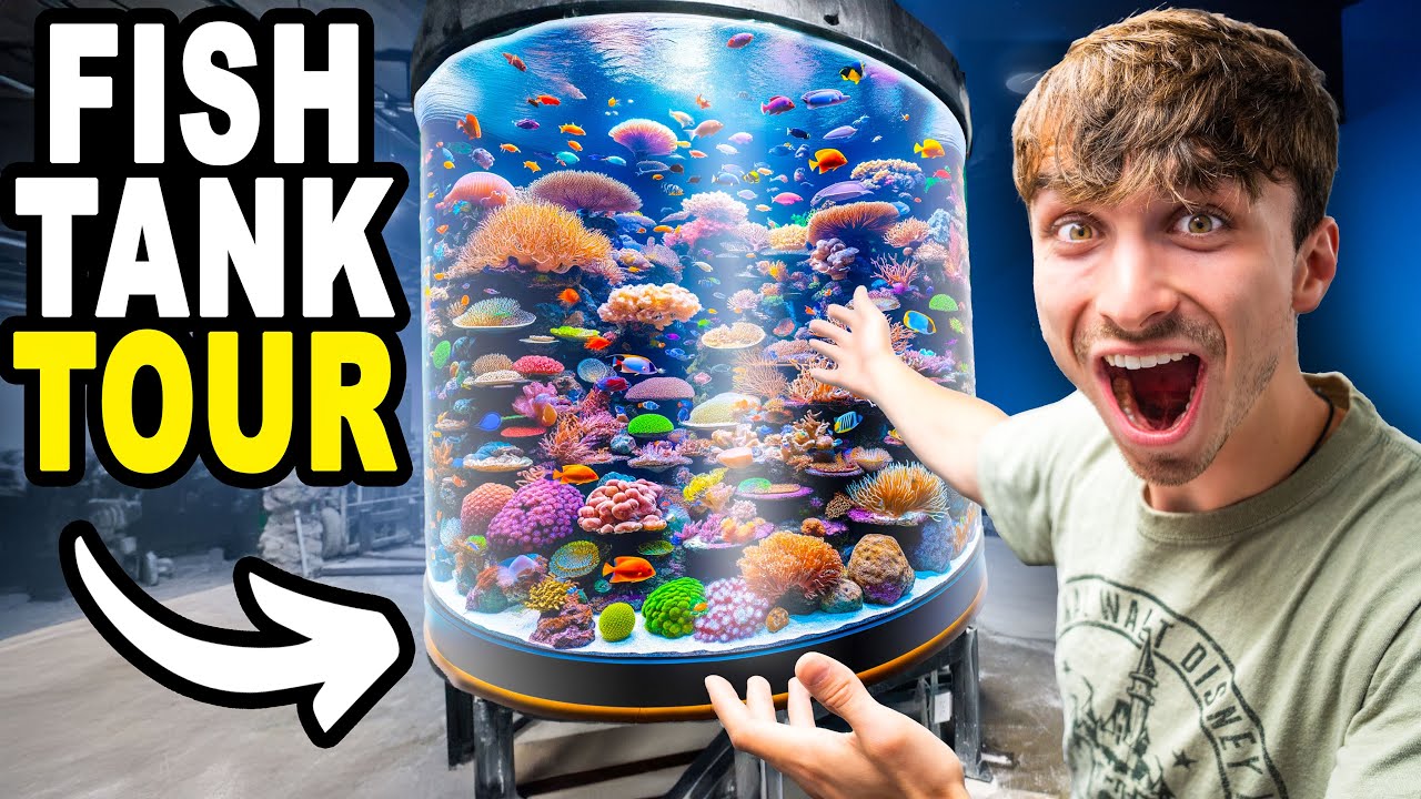 Entire Tank By Tank Tour at Our Aquarium! - YouTube