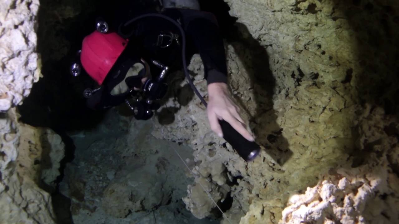 Cave Diving Cenote Kalimba - Yucatan - YouTube