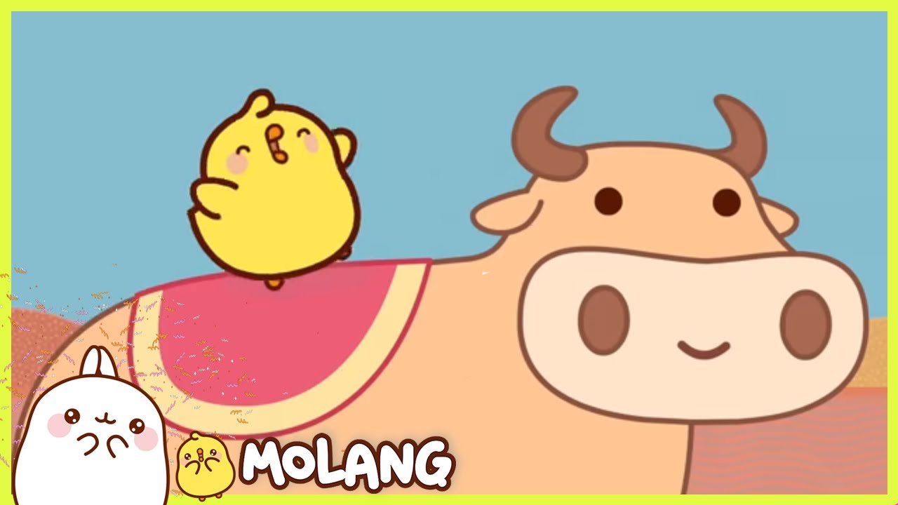Molang - The rodeo | Comedy Cartoon | More ⬇️ ⬇️ ⬇️ - YouTube