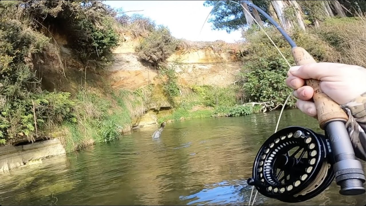 Fly fishing New Zealand's DREAM STREAM with Miles Rushmer S2 Ep15 - YouTube
