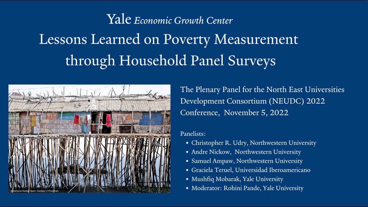 Lessons Learned on Poverty Measurement through Household Panel Surveys ...