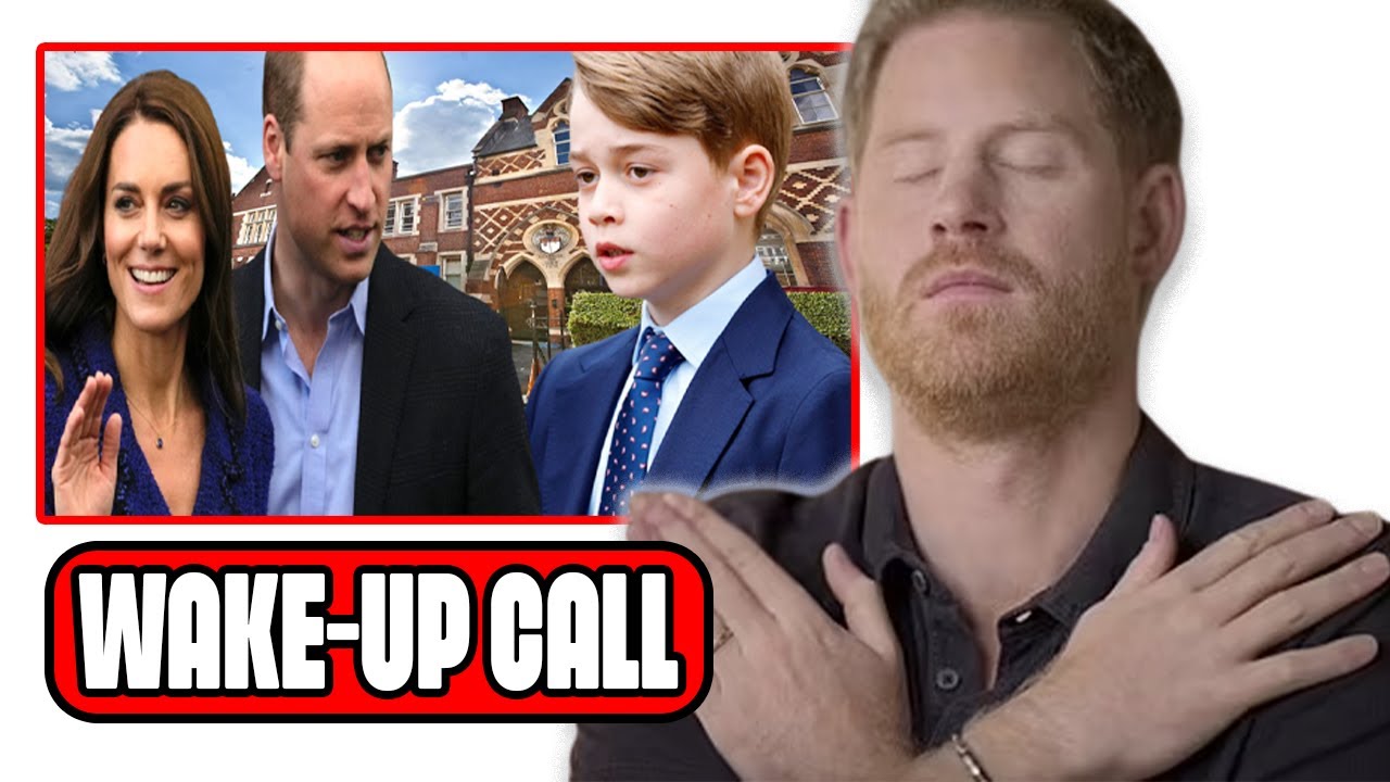 VERY UPSET! Sussex PLOTTING 'FIGHTBACK' To REJOIN ROYAL FOLD After ...