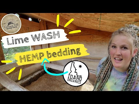 CHICKEN COOP Deep Clean + White Washing! - YouTube