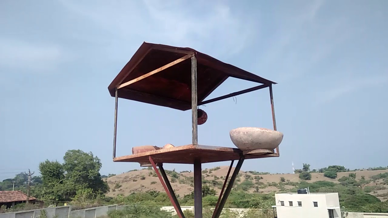 chabutara ni mulakat - YouTube