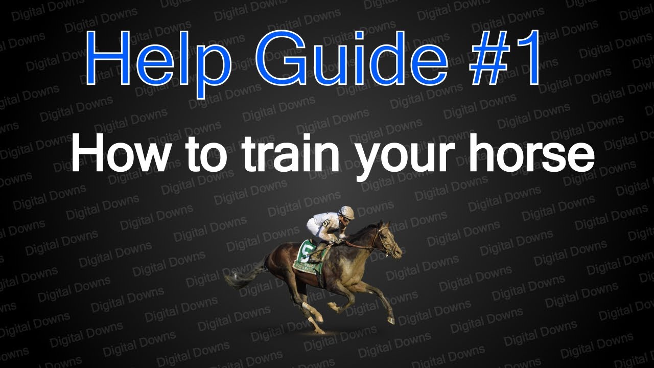 How to train your horse for the first time | Help guide #1 - YouTube
