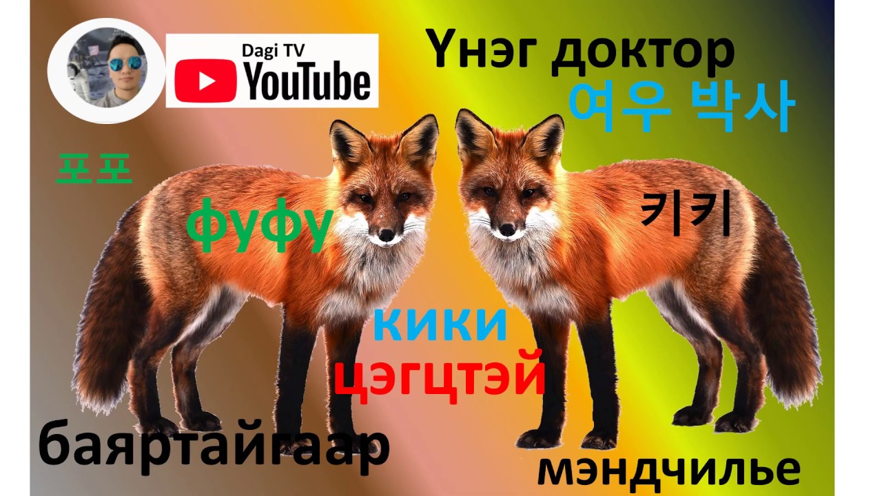 Үлгэр3 солонгос хэл solongos hel - YouTube