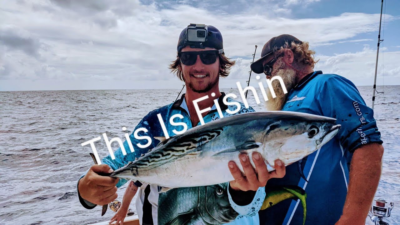 Sea Probe Fishing Charter Off The Goldcoast Ep 105 - YouTube