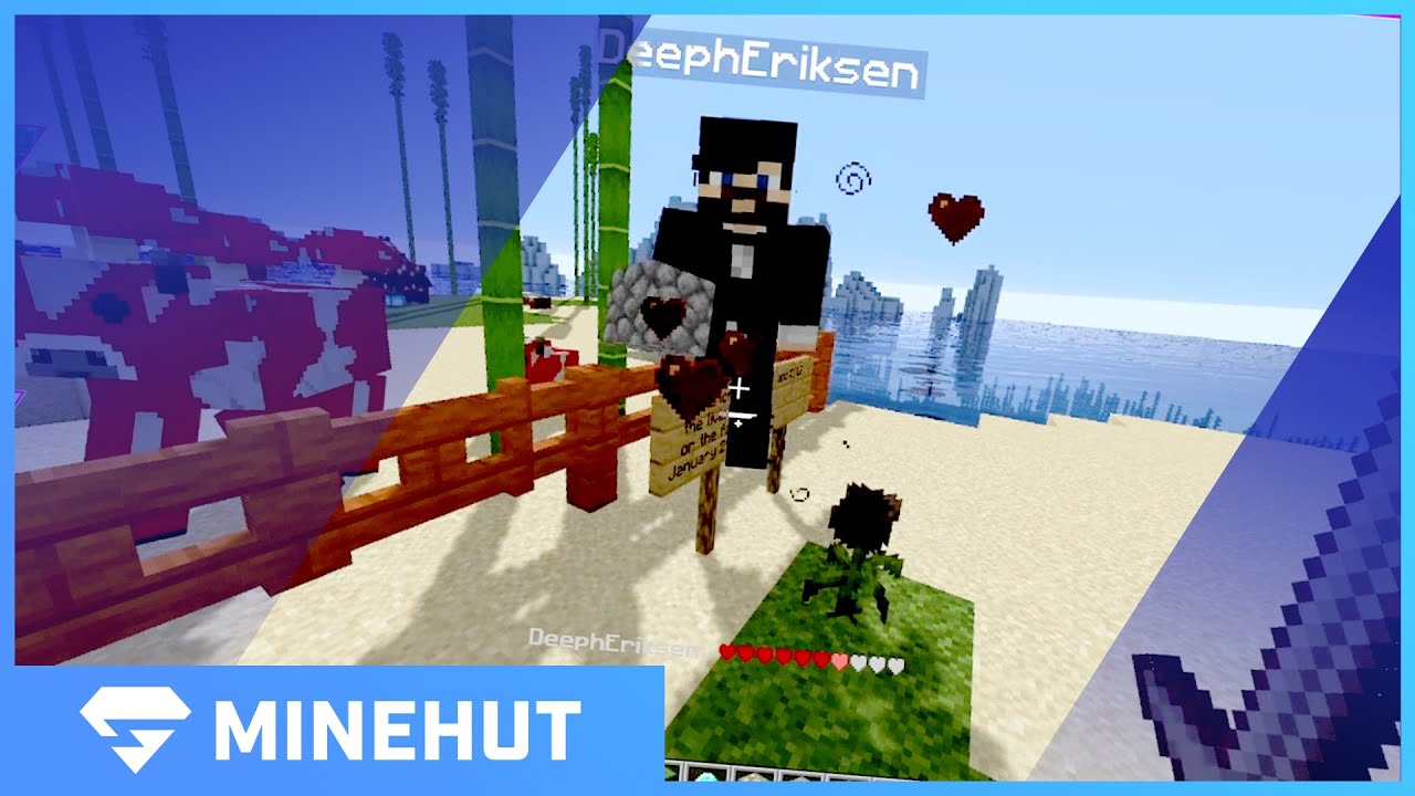 How to use Action Health | Minehut 101 - YouTube