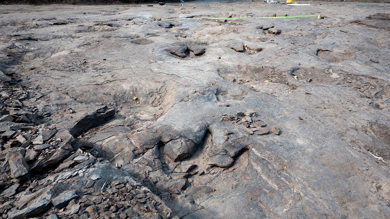 Six Peaks Track Site - Hudson's Hope, British Columbia - YouTube