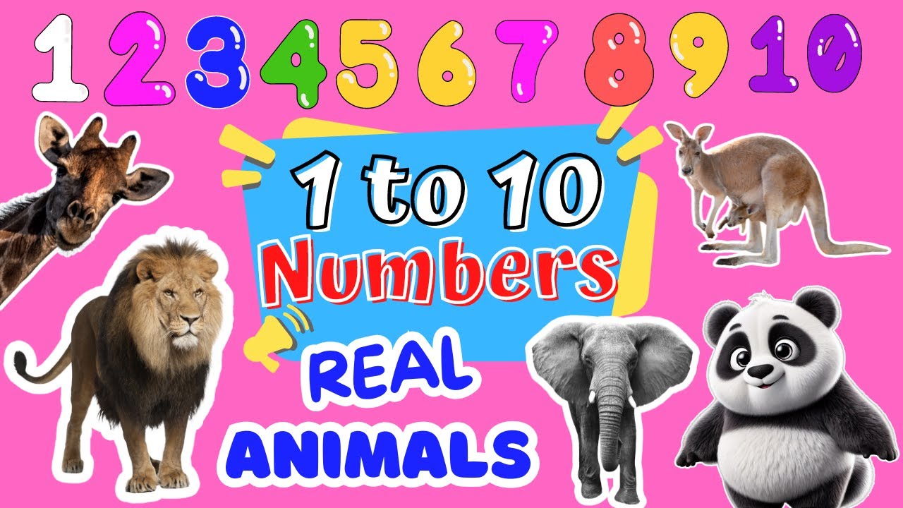 Numbers from 1 to 10 -Learning to Count the numbers with Animals | Real ...