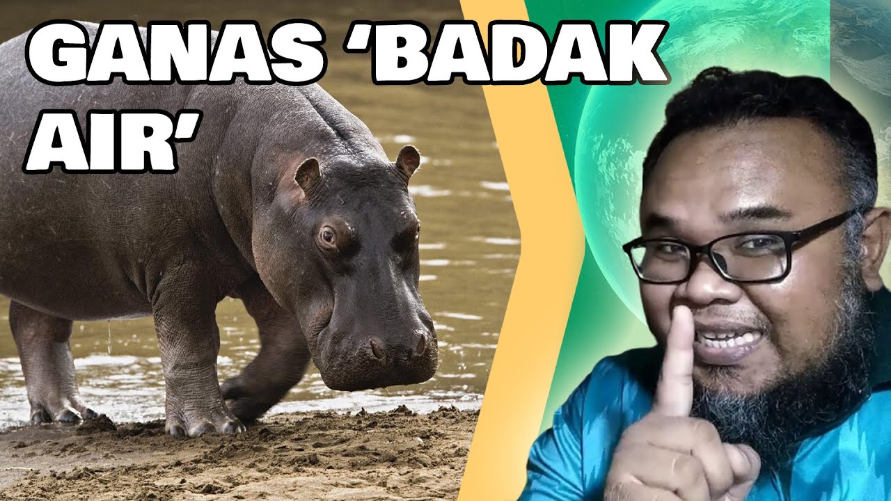 [ Siri 75 ] - Badak Air (Ganas 'Badak Air') - YouTube