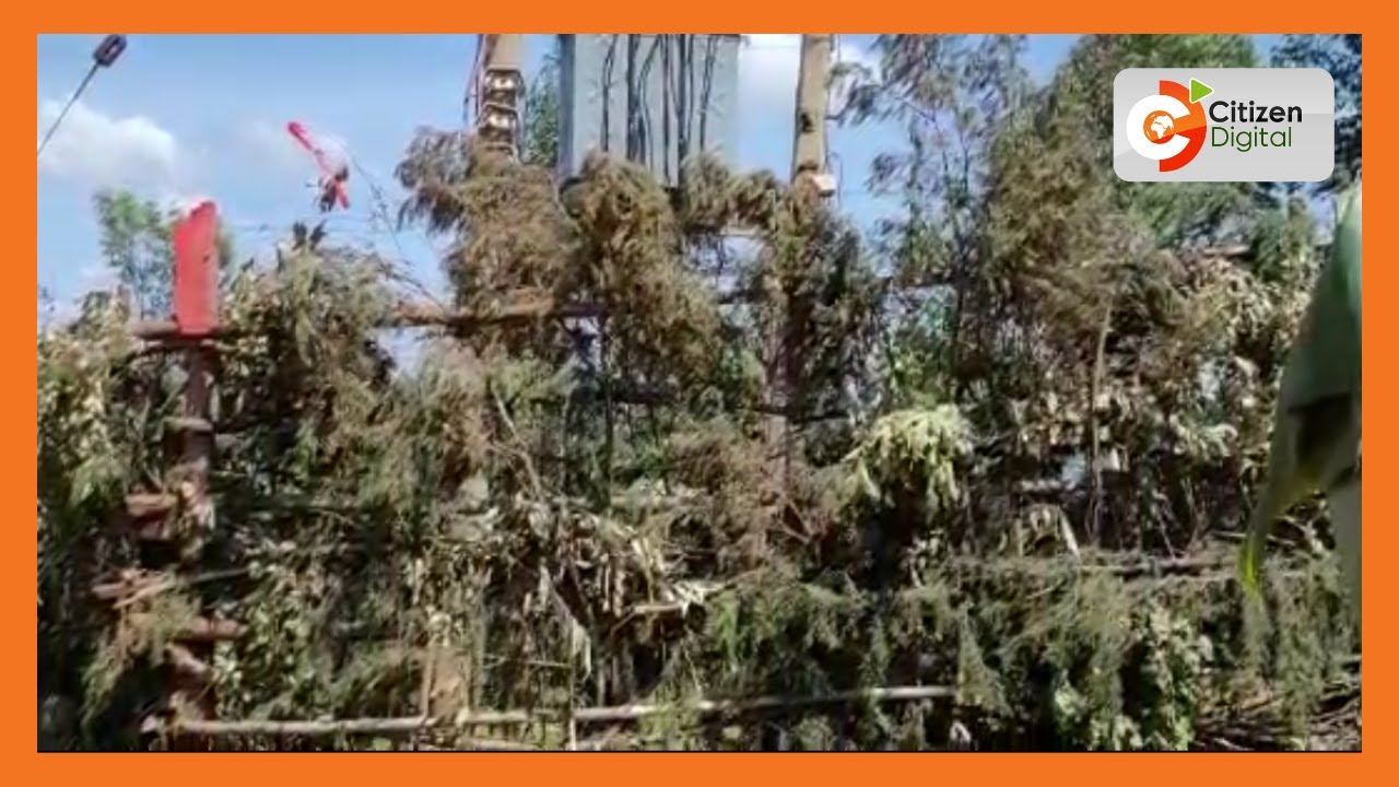 Kisii residents chase away KPLC staff, barricade transformer alleging ...