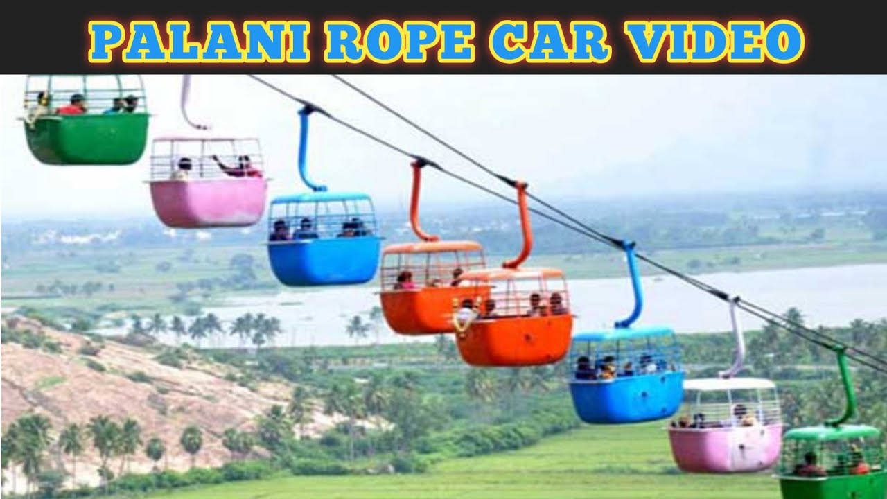 Climbing The Steps Through Many Stepshow Palani Murugan