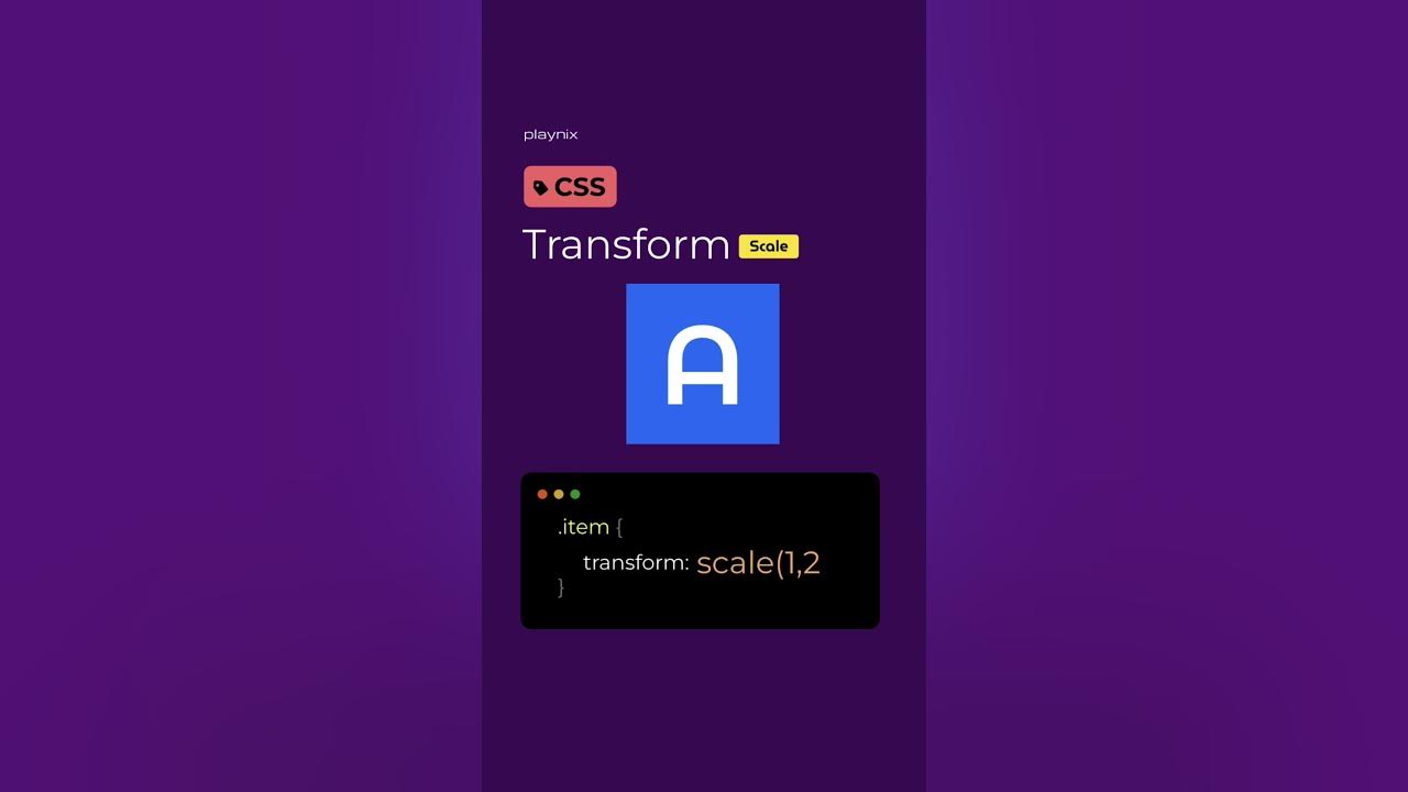 Css Transformsscale Html Css Programming Coding Playnix Youtube