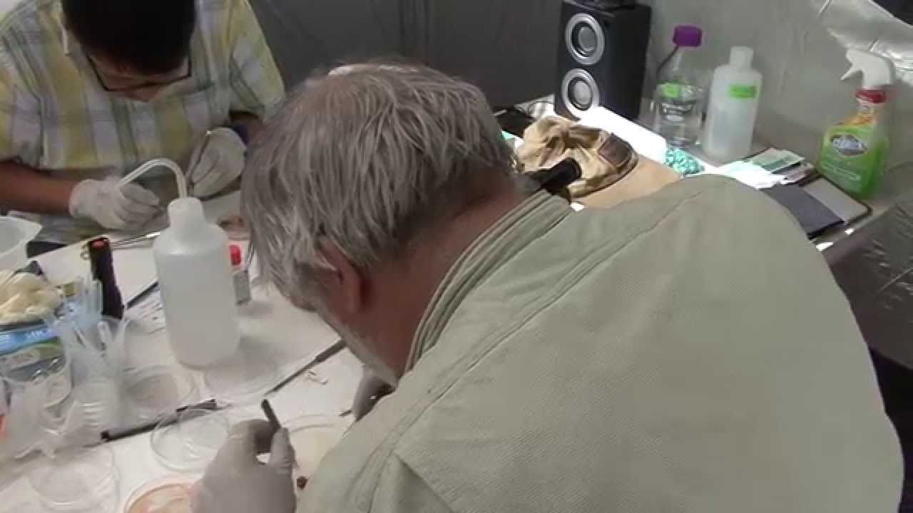 Dr. Cook Research - YouTube