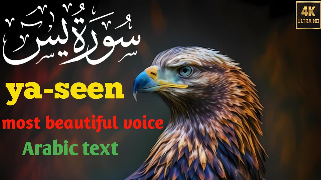 Surah al Yasin (سورہ یس) with arabic hd text|tilawat quran best voice ...