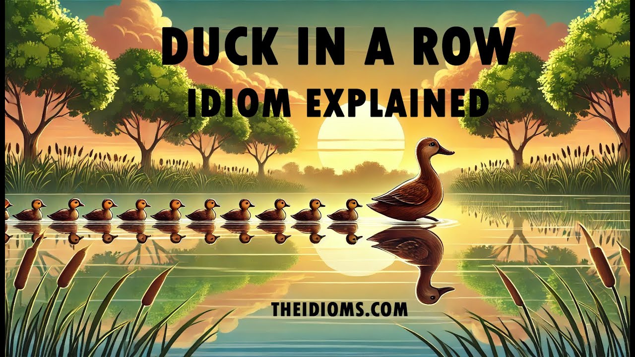 Duck in a Row | Idiom | Meaning | Example Sentences | Origin | History ...