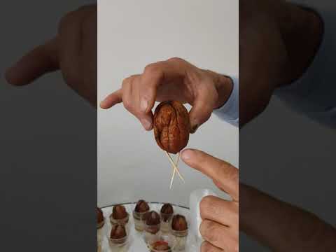 1HAFTA İÇİNDE CEVİZ ÇİMLENDİRME