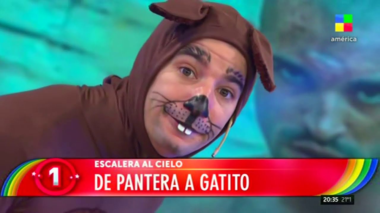 De pantera a gatito: la historia de Ignacio Sureda - YouTube