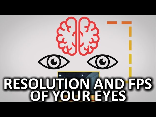 What Is The Refresh Rate Of Human Eyes In Inches - Infoupdate.org